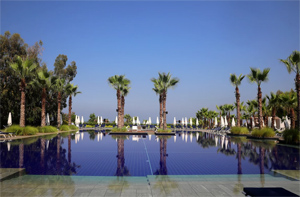 Azure Beach Club - Dubai, Beirut, Doha, Marbella & Vietnam